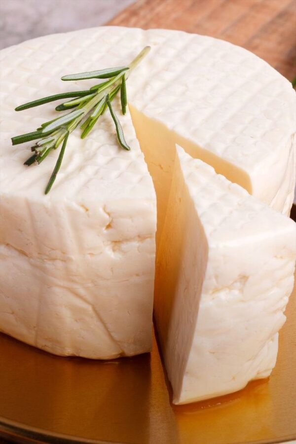 1 kg paneer price| Affordable Prices & Quality